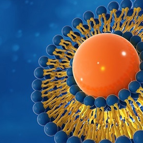 Delivery System Technology - Immortal Group